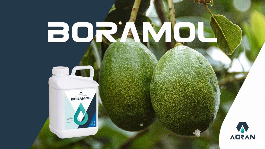 Home - Agran Liquid Technology