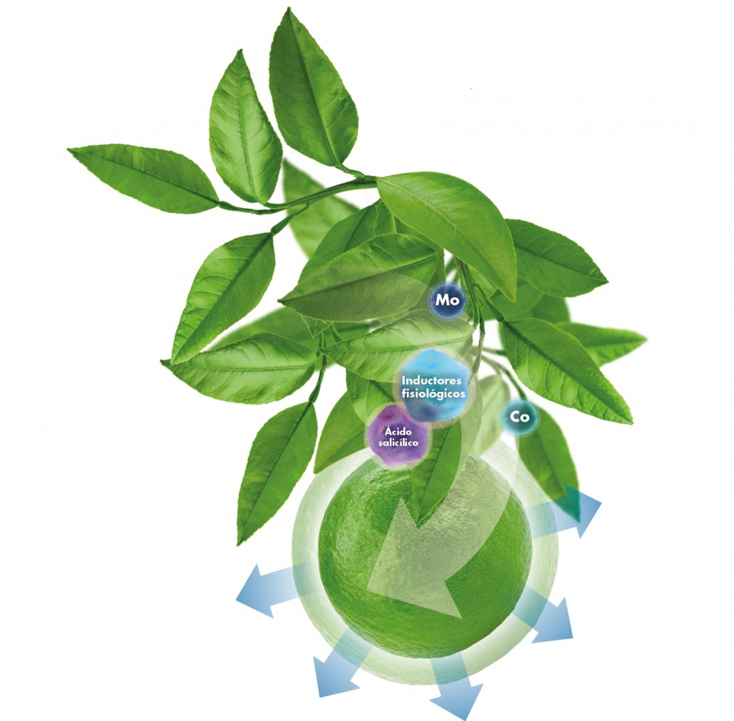 Keep Green - Agran Liquid Technology